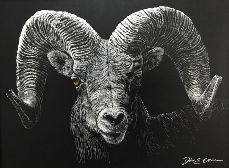 Galleries - SCRATCHBOARD AND FEATHER WILDLIFE ART BY DEB OTTERSTEIN, SSA