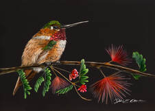 SCRATCHBOARD AND FEATHER PAINTING - Welcome