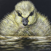 SCRATCHBOARD AND FEATHER PAINTING - Welcome