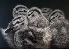 SCRATCHBOARD AND FEATHER PAINTING - Welcome