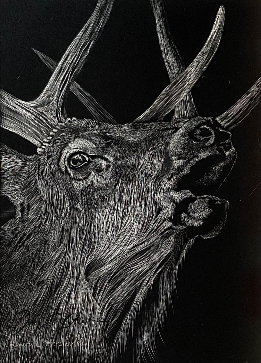 SCRATCHBOARD AND FEATHER PAINTING - Welcome