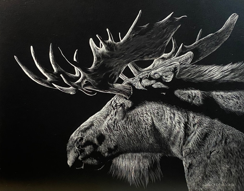 SCRATCHBOARD AND FEATHER PAINTING - Welcome